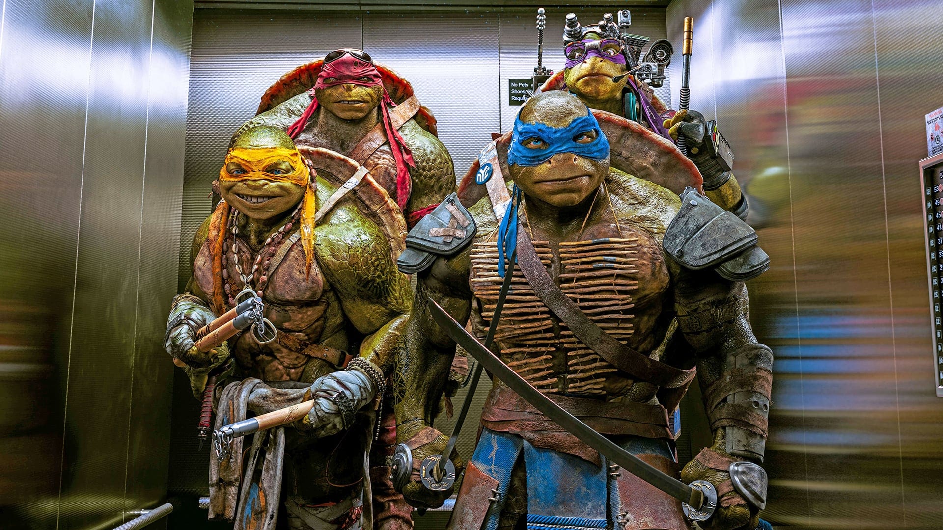 Tmnt 2023 2023 Tmnt 2023 2023